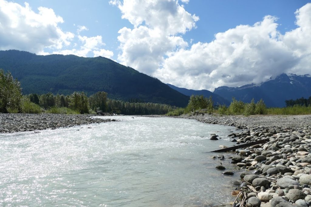 Comment: Ecology’s Darrington & US Golden Eagle Draft Decision – Center ...