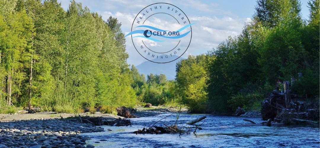 Healthy Rivers Washington – Center for Environmental Law & Policy