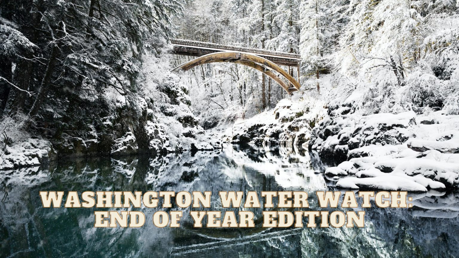 Washington Water Watch: December 2022 – Center for Environmental Law ...
